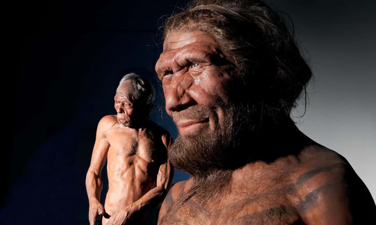Scientists to grow 'mini-brains' using Neanderthal DNA - 3 Quarks Daily