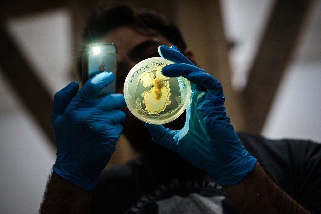 As D.I.Y. Gene Editing Gains Popularity, ‘Someone Is Going to Get Hurt ...