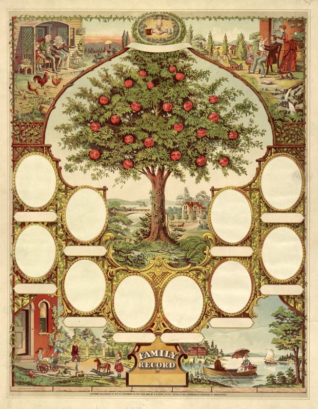 Far from the tree: The illusions of genealogy - 3 Quarks Daily