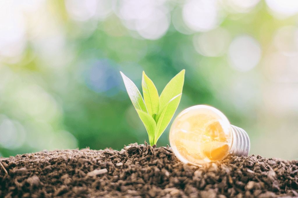 Plant-e: heats, shoots and leaves — electricity from living plants - 3 ...