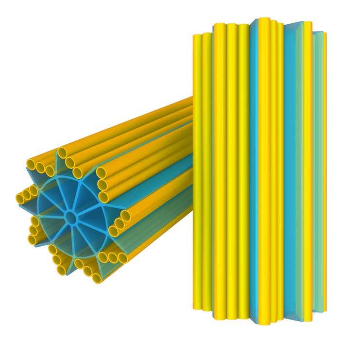 The Self-made Beauty of the Centriole - 3 Quarks Daily