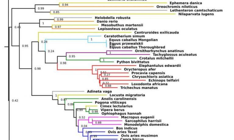 Cross species transfer of genes has driven evolution - 3 Quarks Daily