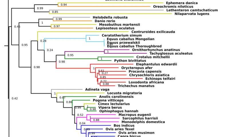 Cross species transfer of genes has driven evolution - 3 Quarks Daily