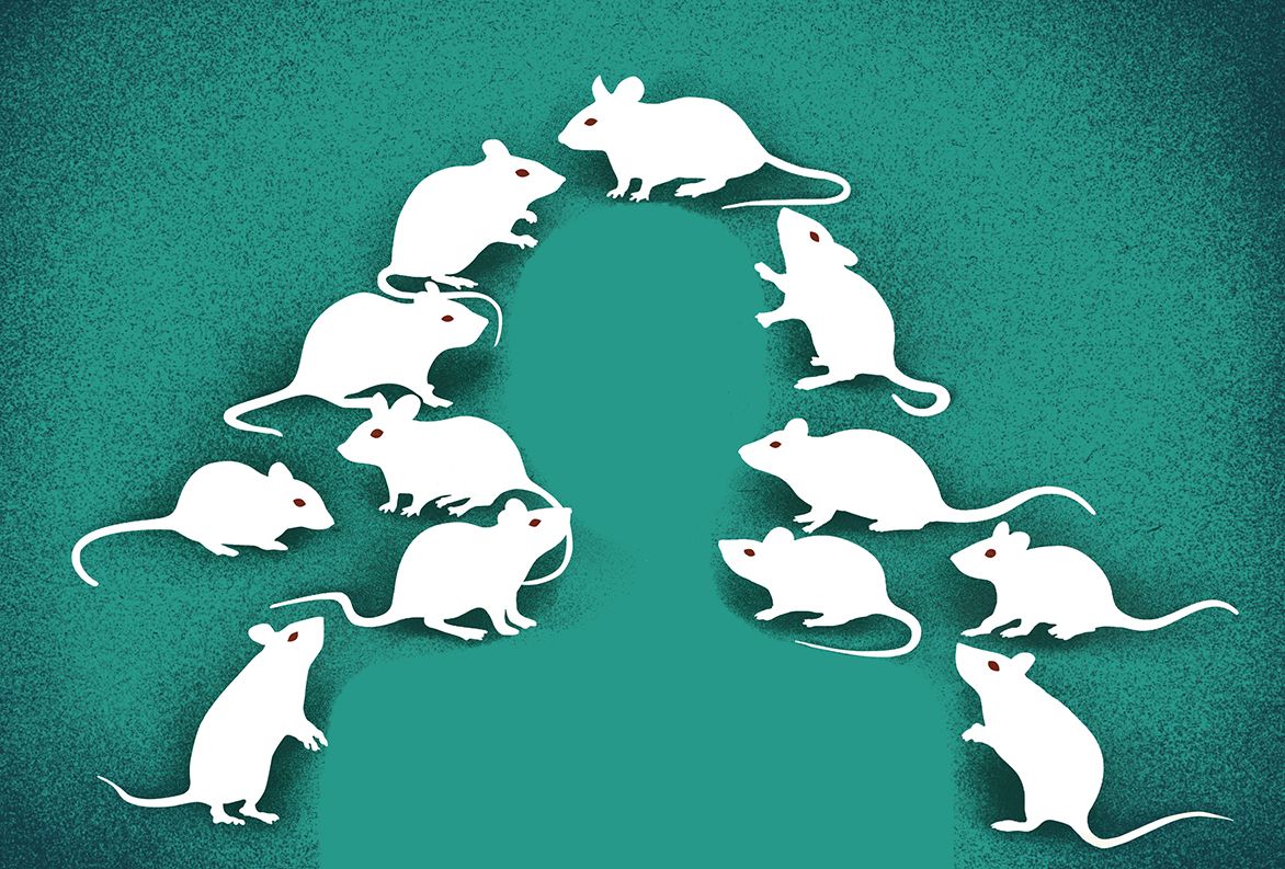 The mice with human tumours: Growing pains for a popular cancer model ...