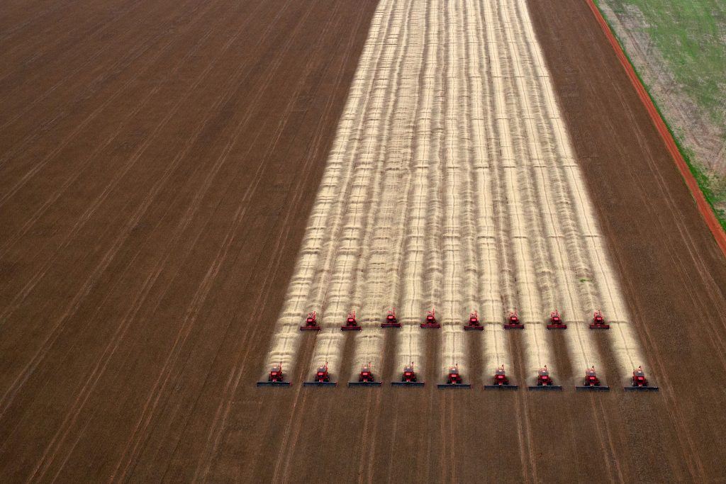 Can We Grow More Food on Less Land? We’ll Have To, a New Study Finds ...