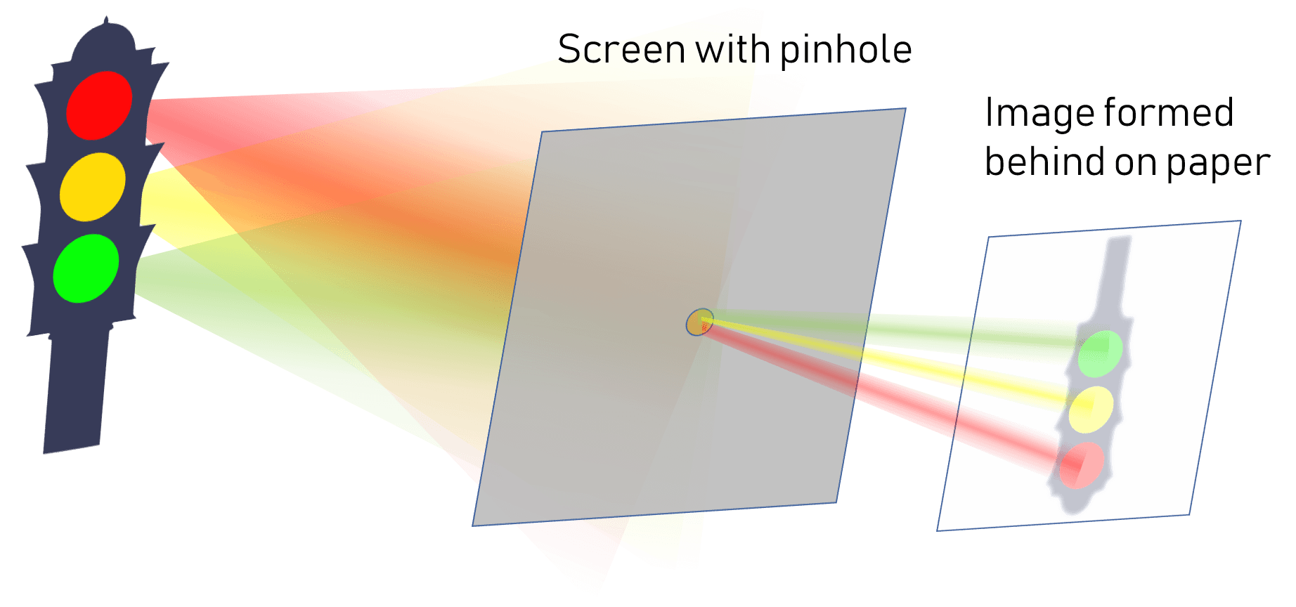 A triumph of seeing - 3 Quarks Daily