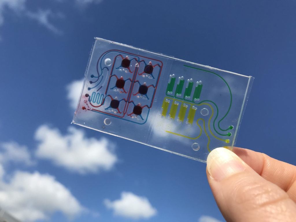 You’ve heard of ‘organs on a chip.’ Now ‘tissue chips in space’ test ...