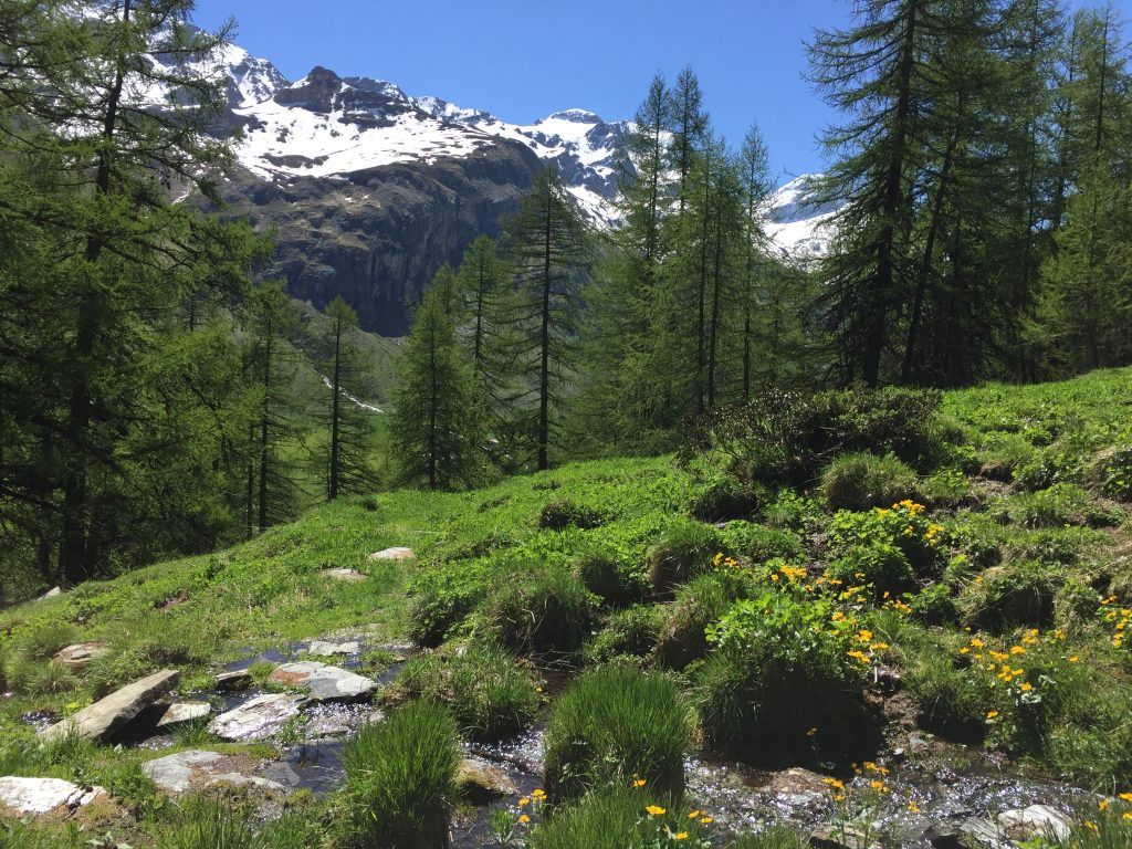 Where Nietzsche Stepped - 3 Quarks Daily