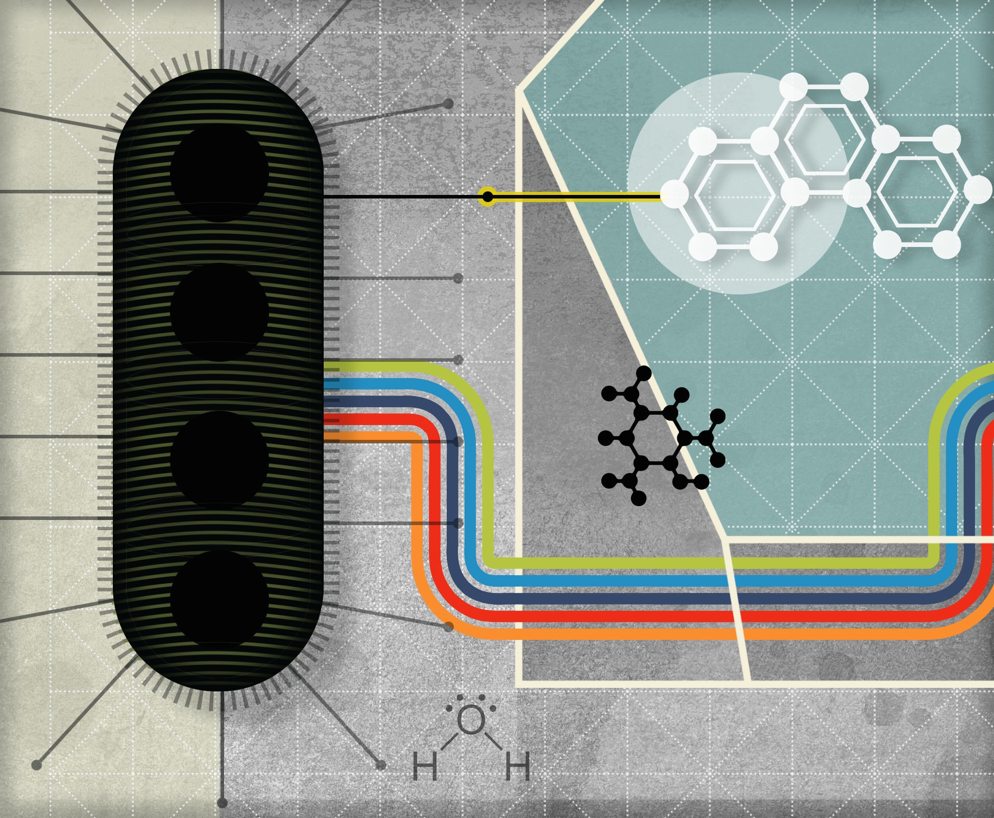 Wired Bacteria Form Nature’s Power Grid: ‘We Have an Electric Planet ...