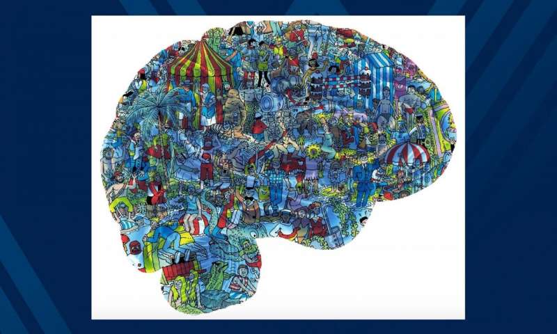 Exploring the brain in a new way: Researcher records neurons to ...