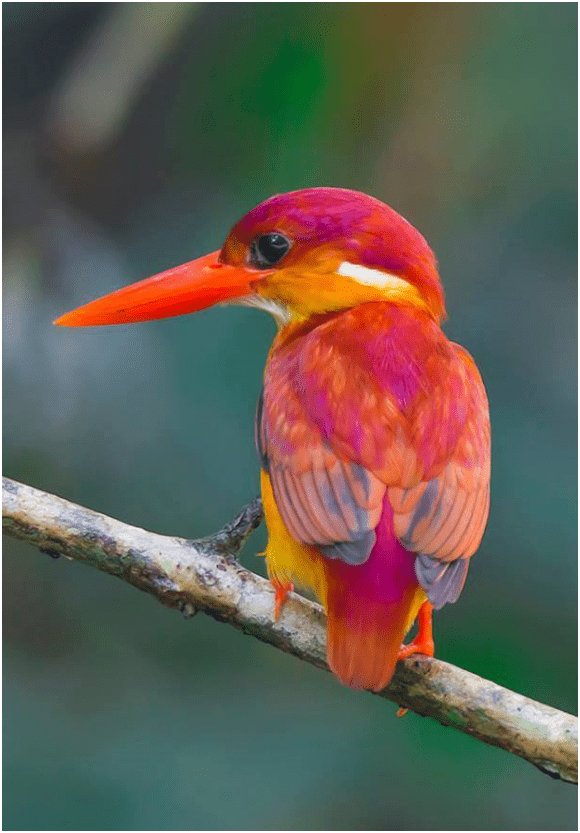 Monday Poem - 3 Quarks Daily