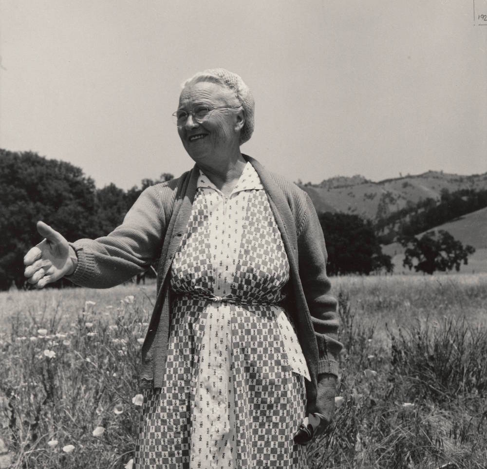 Dorothea Lange’s Angel of History - 3 Quarks Daily