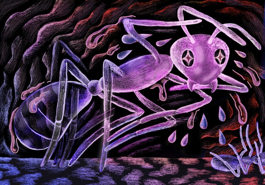The Zombie Ants: When ants are accidentally marked as dead, they find a ...