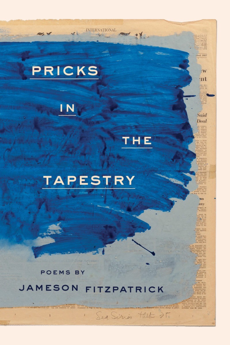 A Review of "Pricks in the Tapestry" by Jameson Fitzpatrick - 3 Quarks ...