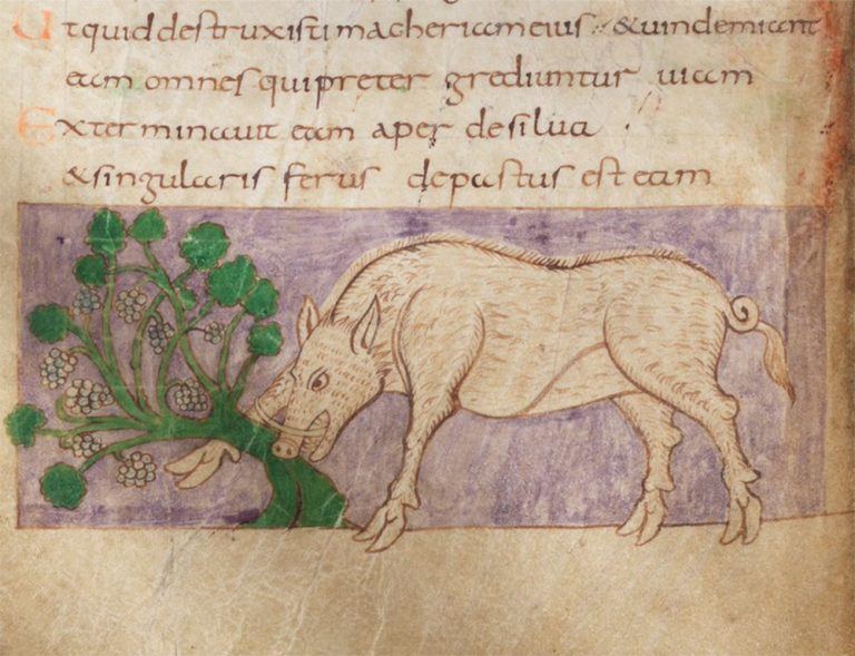 Ubiquitous Medieval Pigs - 3 Quarks Daily