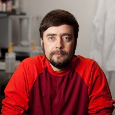 Sean Carroll's Mindscape Podcast: Michael Levin on Growth, Form ...