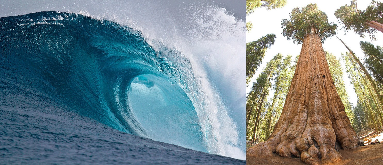 Guessing With Physics - 3 Quarks Daily