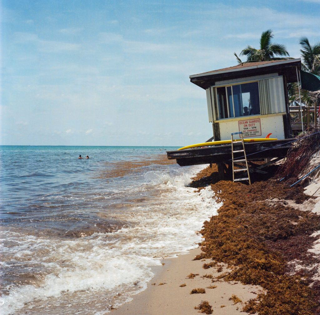 3 Quarks Daily - Page 348 of 3294 - Science Arts Philosophy Politics ...