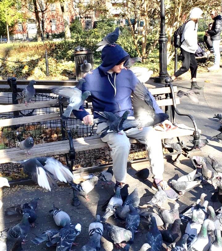 The Parisian Pigeon - 3 Quarks Daily