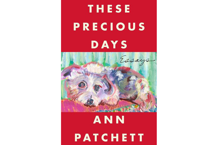 Ann Patchett’s essays unfold her warmth, generosity, and humor - 3 ...