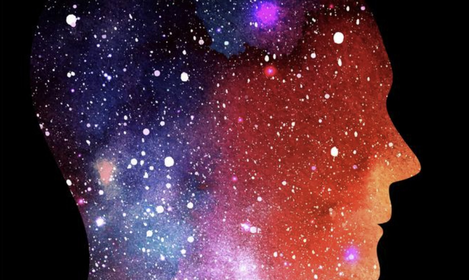 Why our thoughts and actions are essential to any model of the universe ...