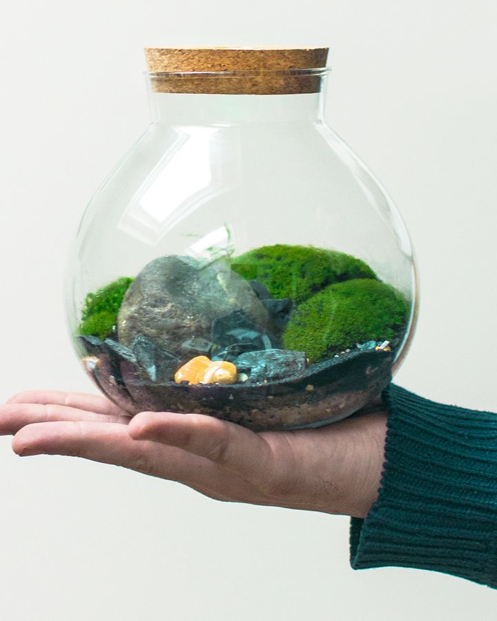 The magical miniature worlds of terrariums - 3 Quarks Daily