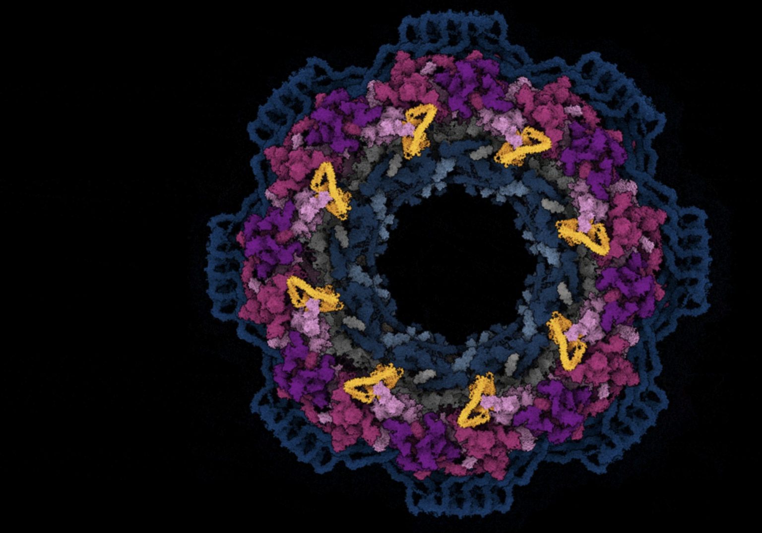 The AI protein-folding revolution - 3 Quarks Daily