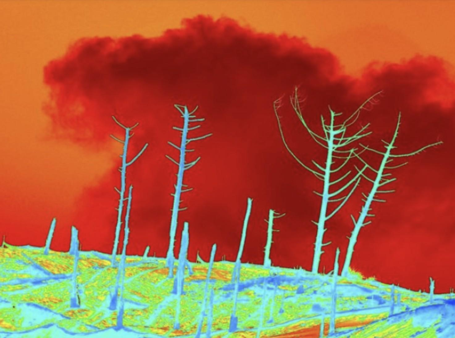 Action on climate requires weighing historical scales correctly - 3 ...
