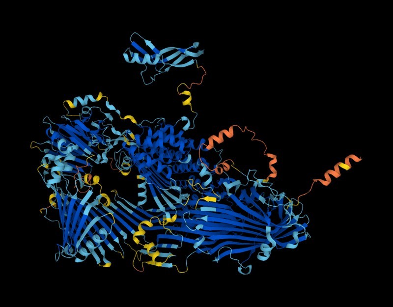 AI predicts shape of nearly every known protein - 3 Quarks Daily