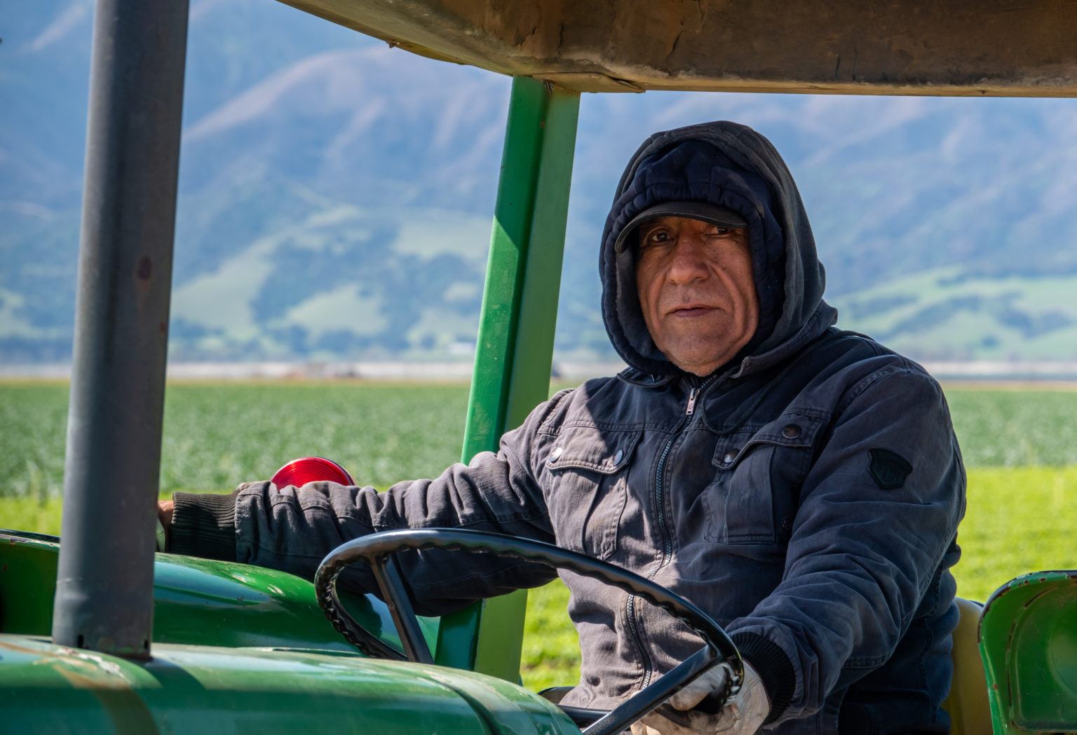 Reason and Meaning | Philosophical reflections on life, death, and the ...