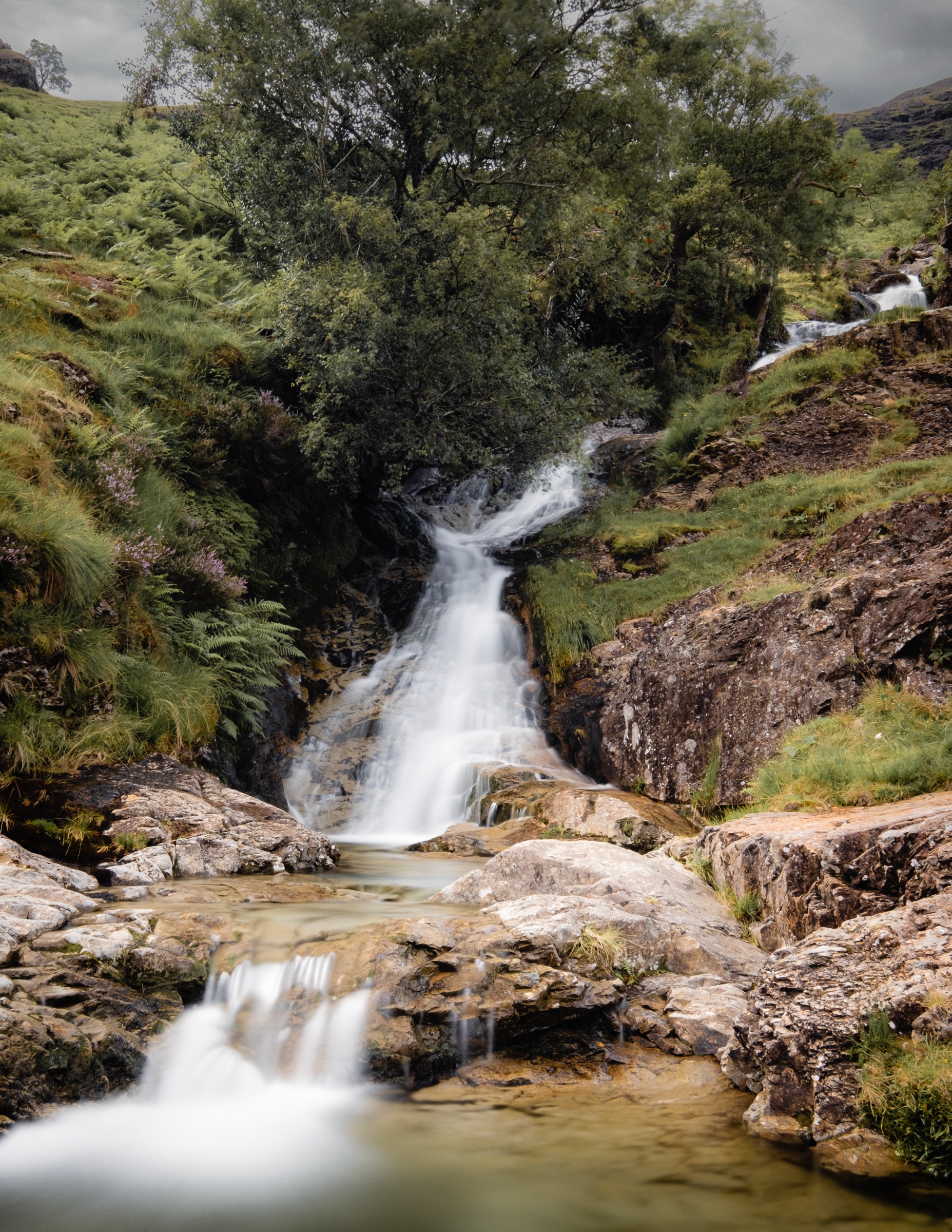 More than Daffodils - 3 Quarks Daily