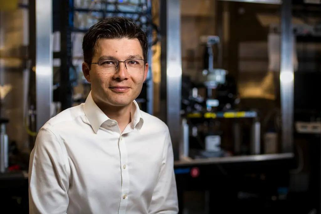 Human Brain Cells Grow in Rats, and Feel What the Rats Feel - 3 Quarks ...