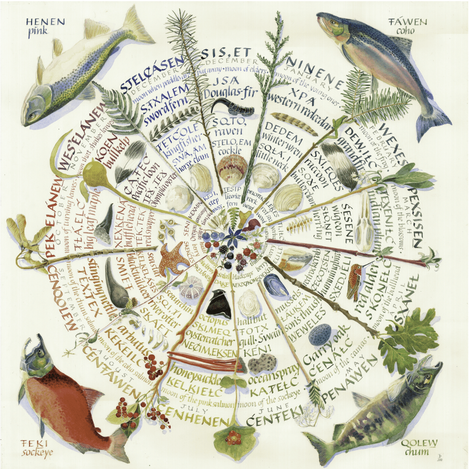 The Frog, the Frog, and the Lizard—Native and Invasive Species on the ...