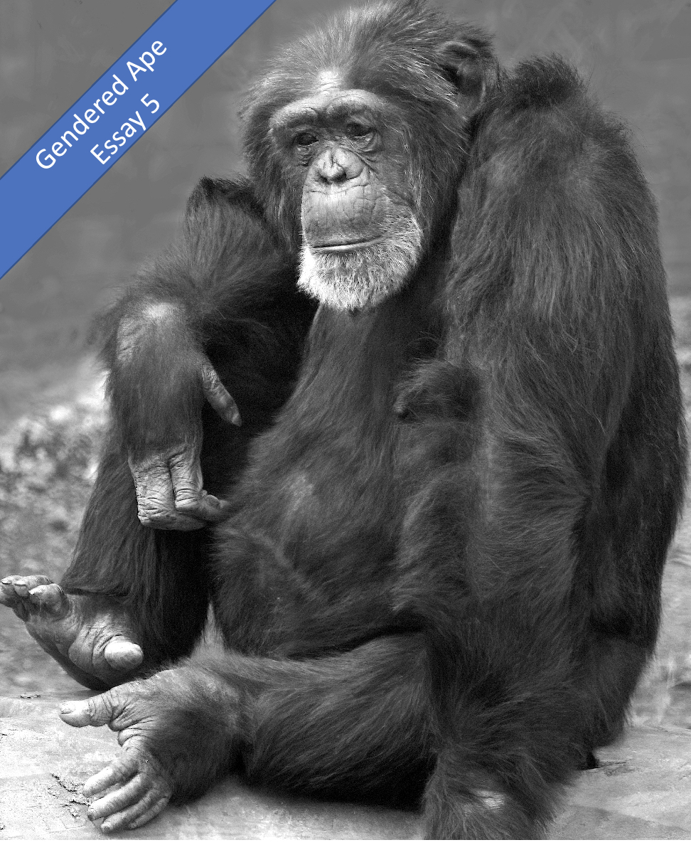 The Gendered Ape, Essay 5: How Natural is LGBTQ+ Diversity? - 3 Quarks ...