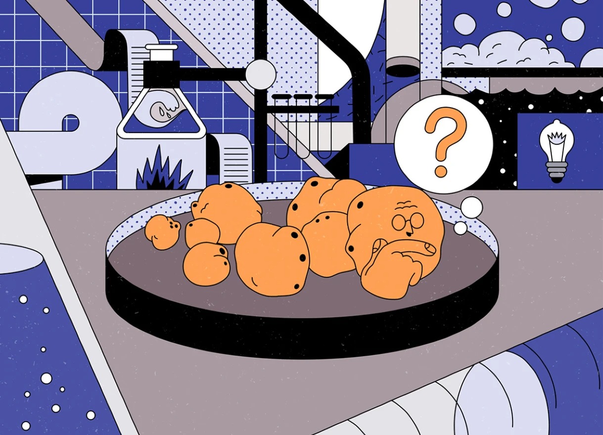 Can Lab Grown Brains Become Conscious 3 Quarks Daily