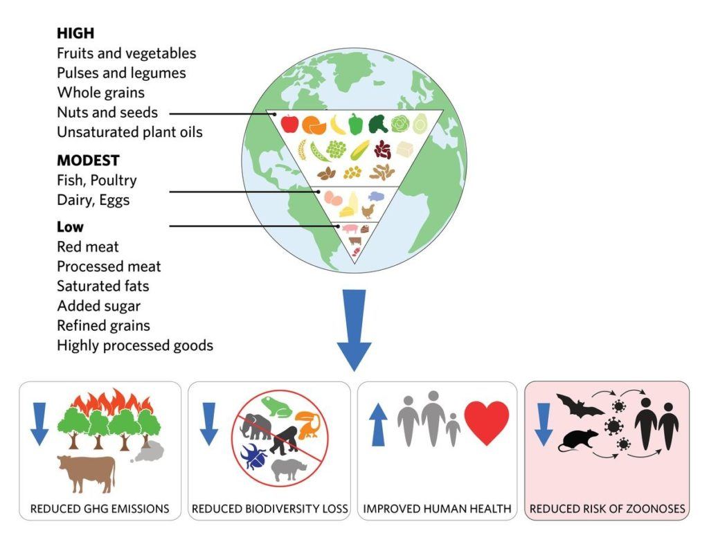 Eating Right to Avoid Catastrophe - 3 Quarks Daily