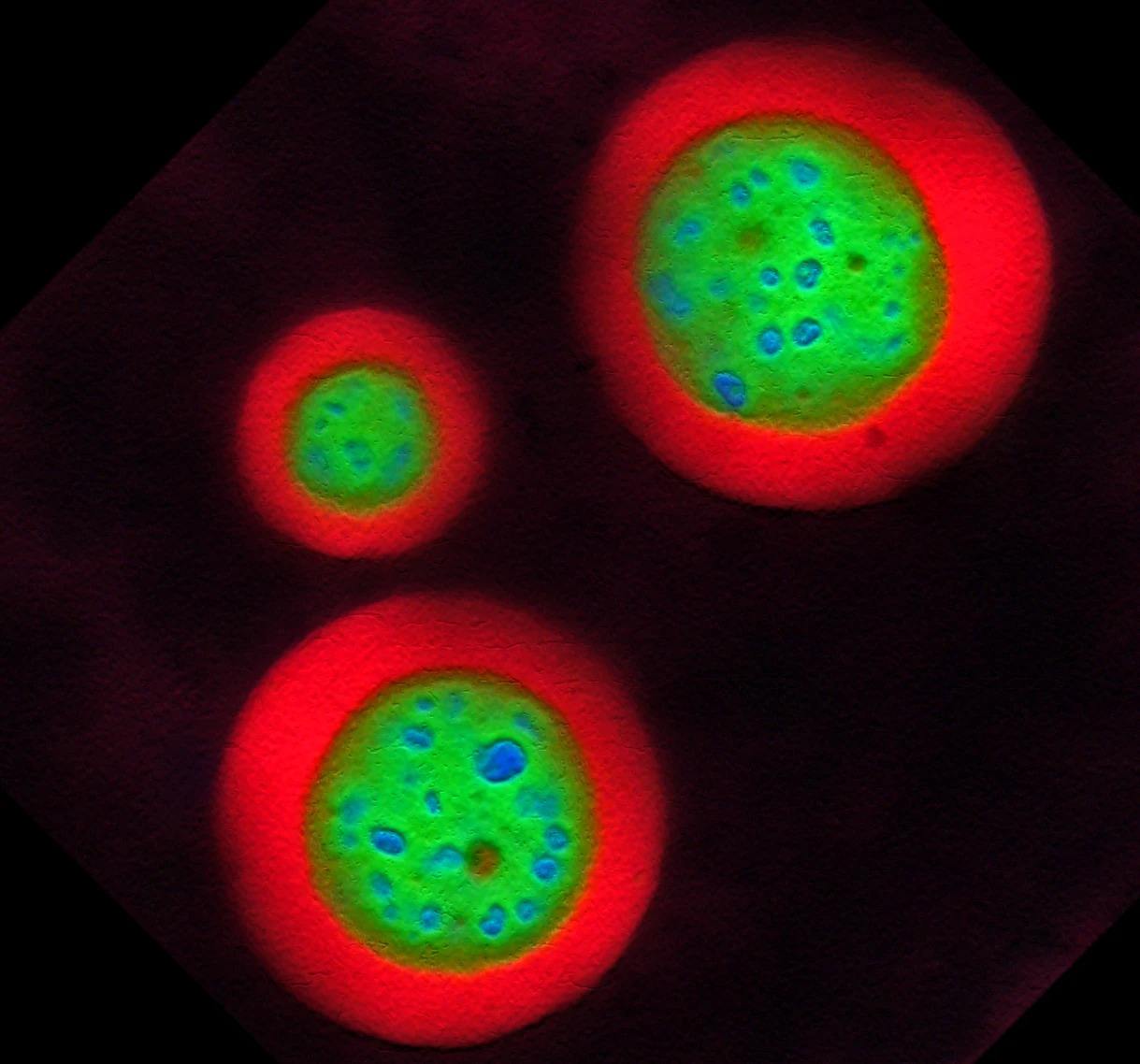 The shape-shifting blobs that shook up cell biology - 3 Quarks Daily