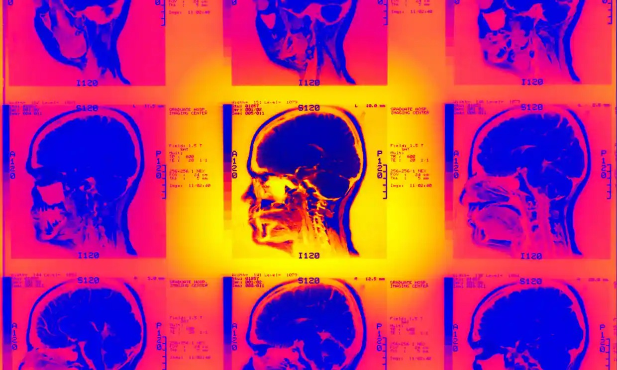 Body Am I – the new science of self-consciousness - 3 Quarks Daily