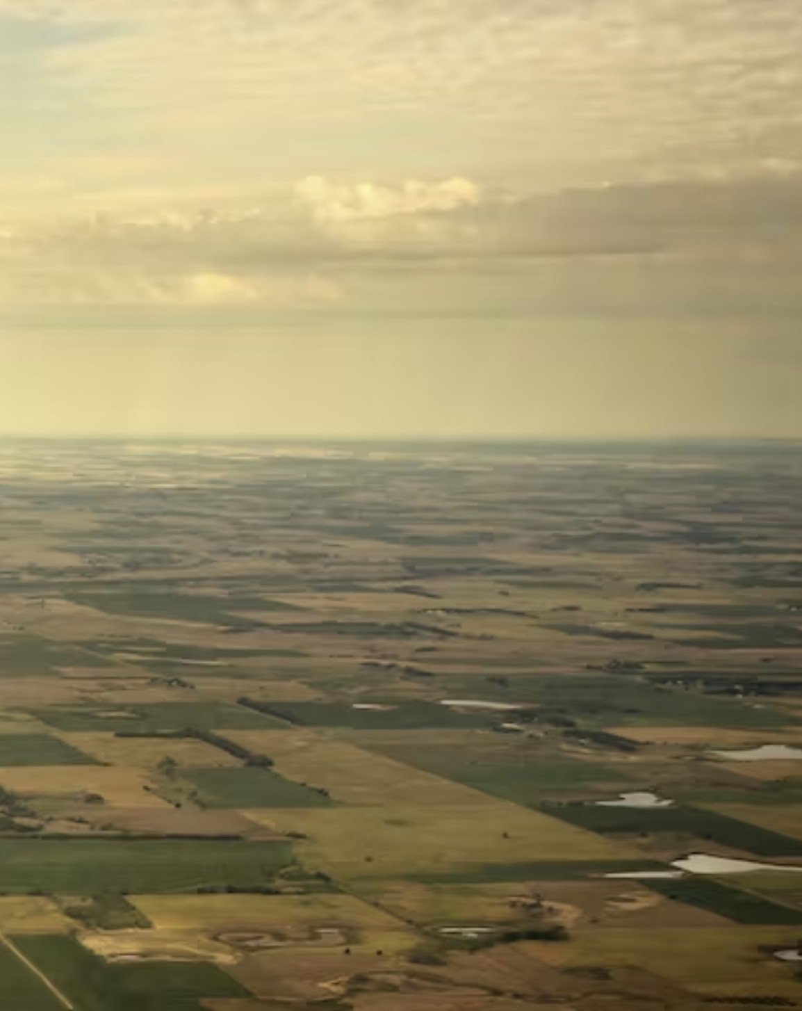 New food technologies could release 80% of the world’s farmland back to ...