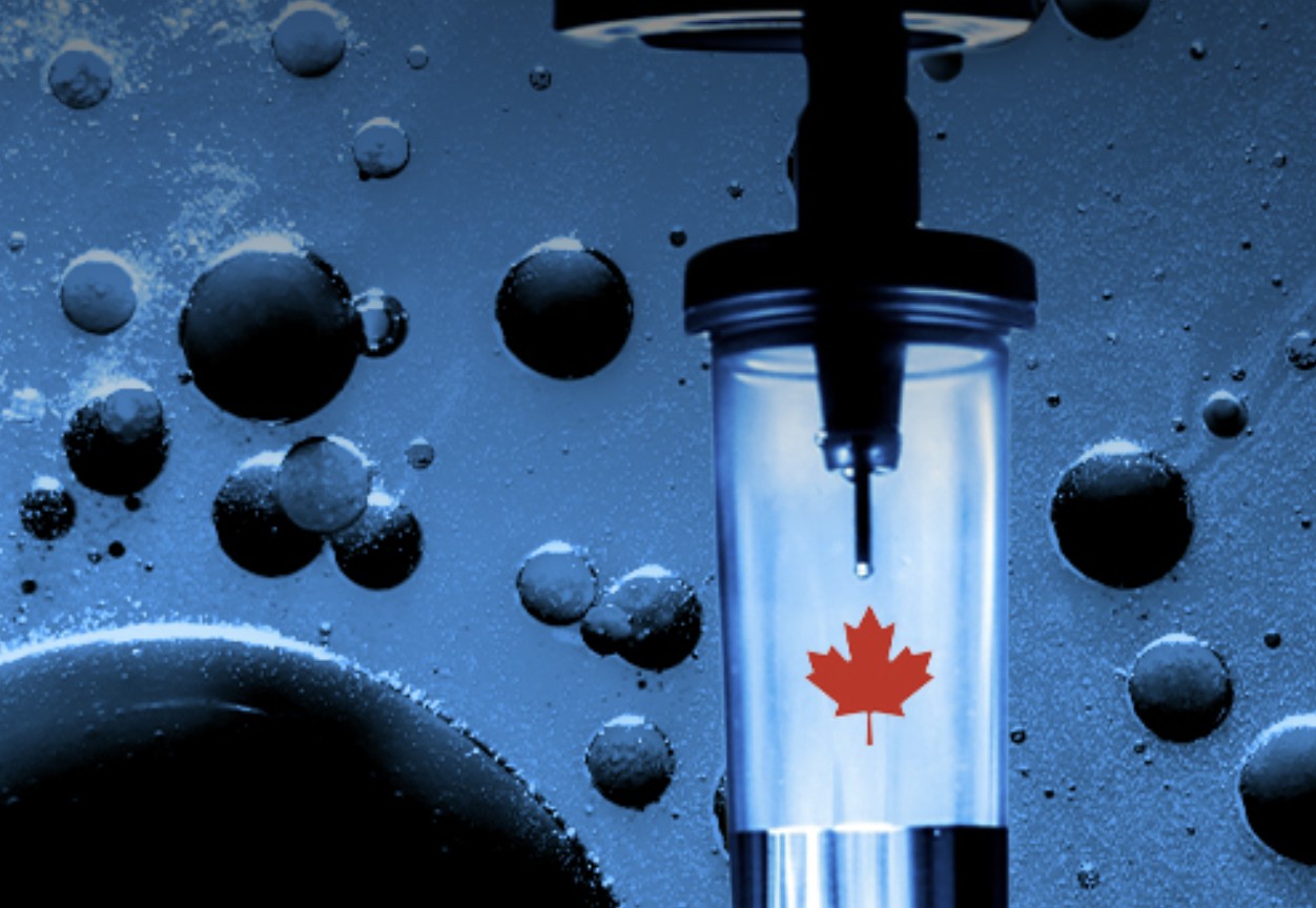 A Canadian euthanasia regime that efficiently ushers the vulnerable to ...