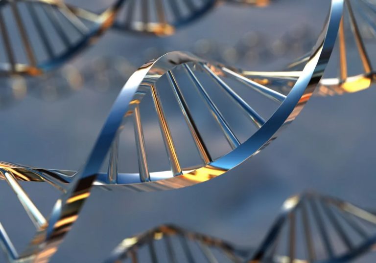 Humans Are Still Evolving Thanks to Microgenes - 3 Quarks Daily