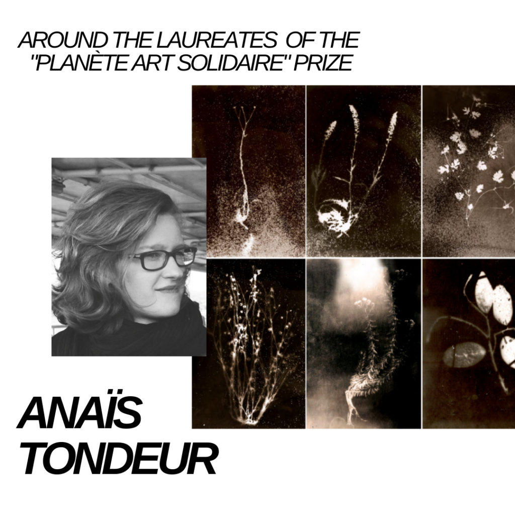 Activism or Aestheticism: Art in the Anthropocene - 3 Quarks Daily