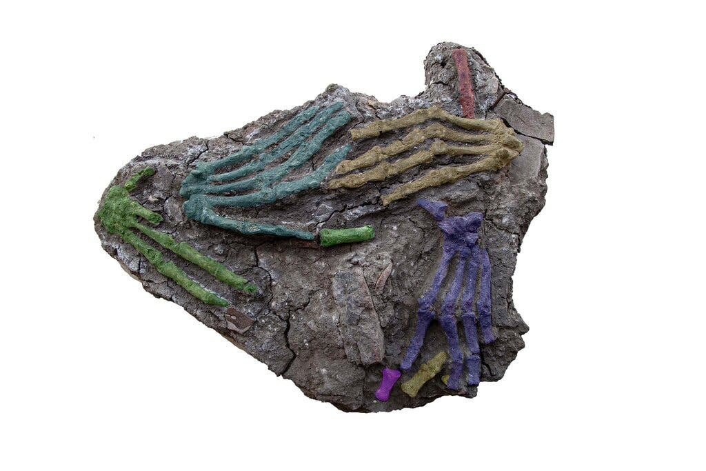 In Ancient Egypt, Severed Hands Were Spoils of War - 3 Quarks Daily