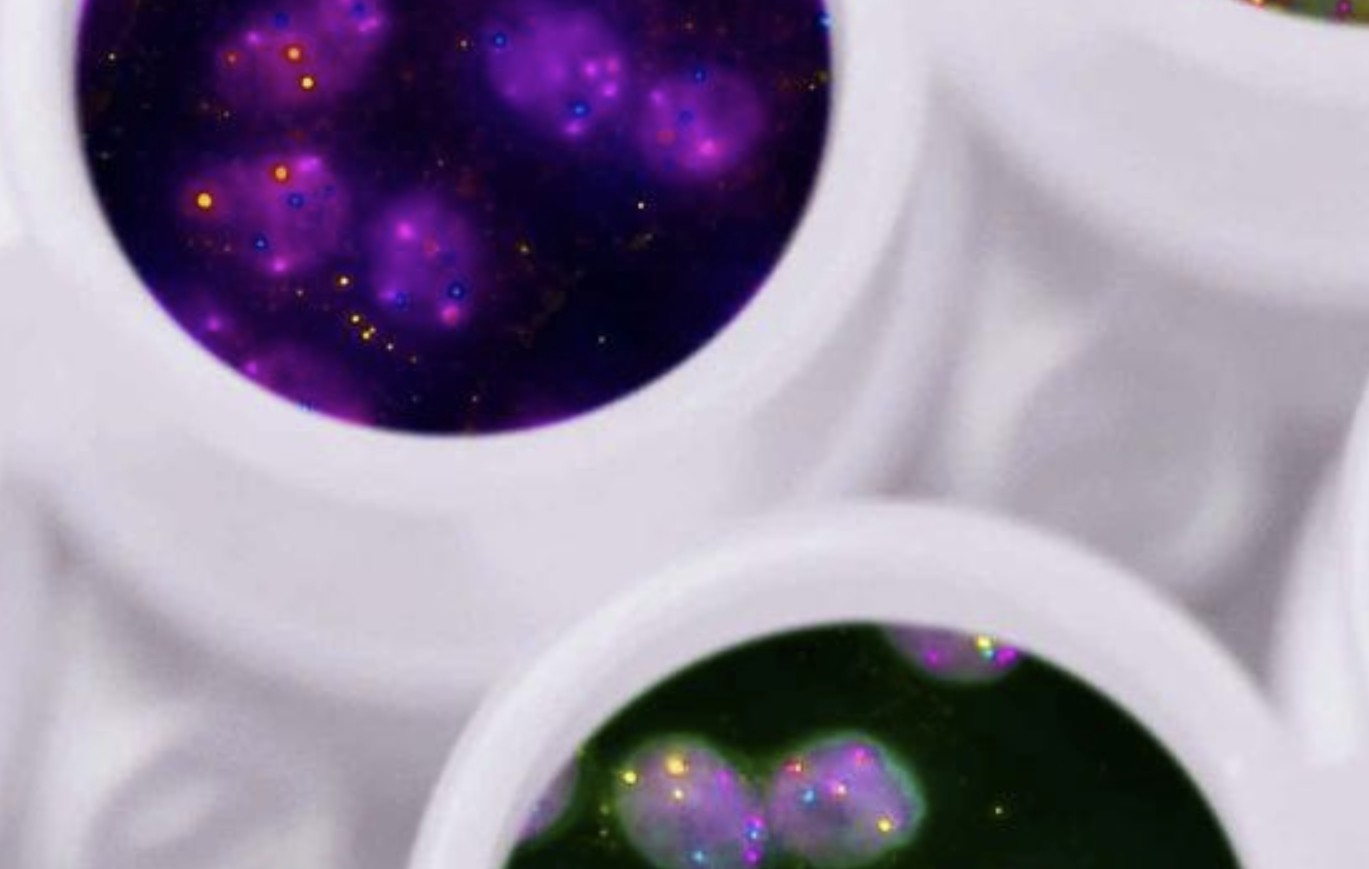 The myth of value-free science - 3 Quarks Daily