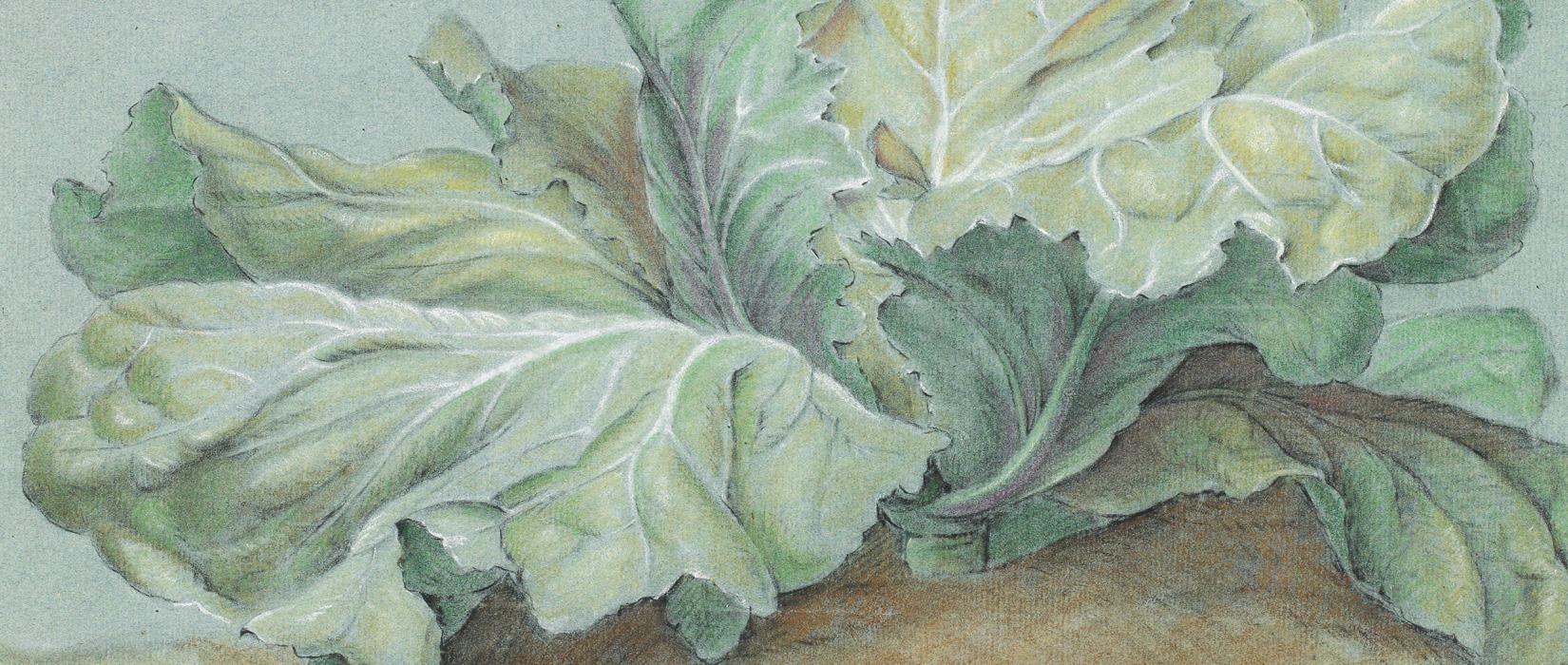 3 Quarks Daily - Page 46 of 3294 - Science Arts Philosophy Politics ...