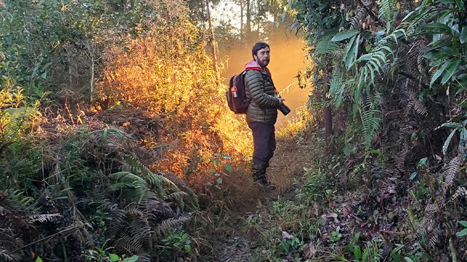 The Biologist Blowing Our Minds - 3 Quarks Daily