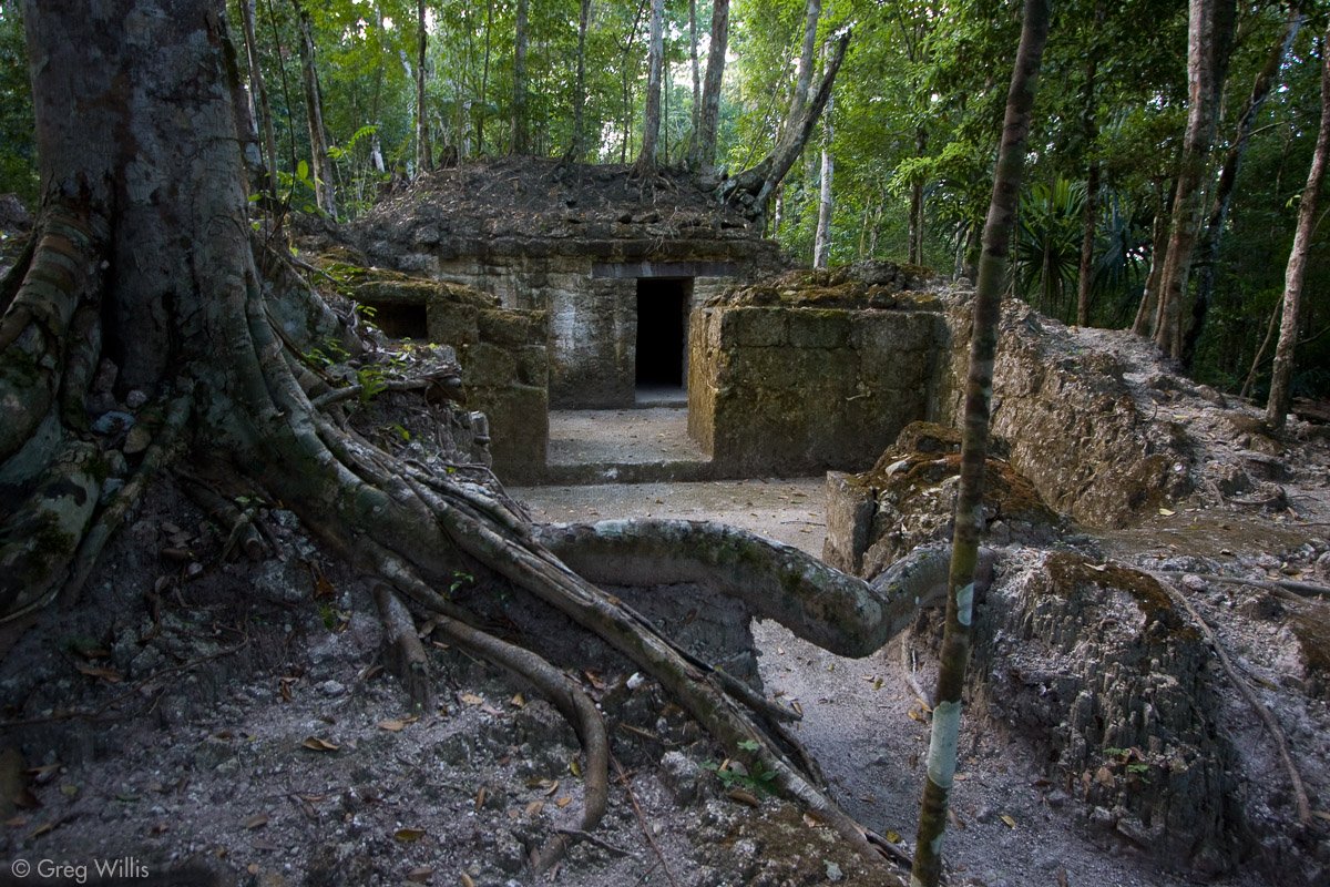 On the Map, Nothing. On the Ground, a Hidden Maya City. - 3 Quarks Daily