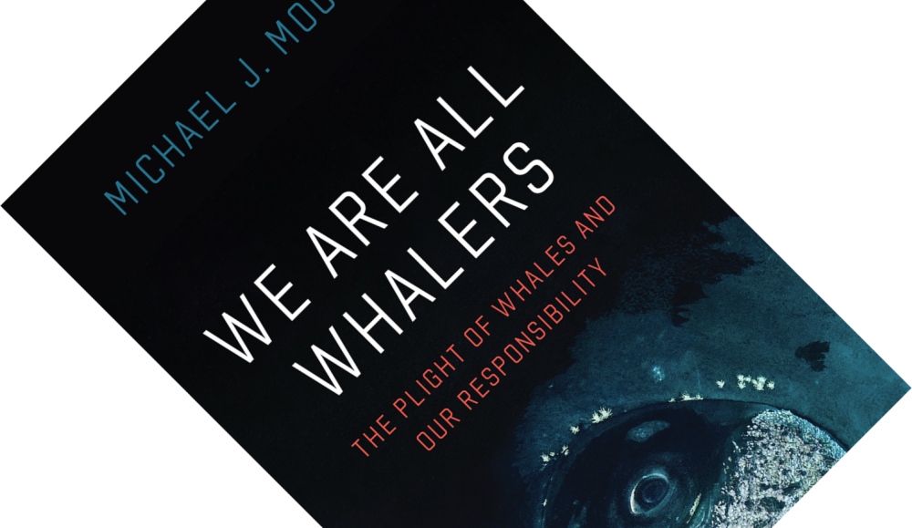The Plight of Whales and Our Responsibility - 3 Quarks Daily