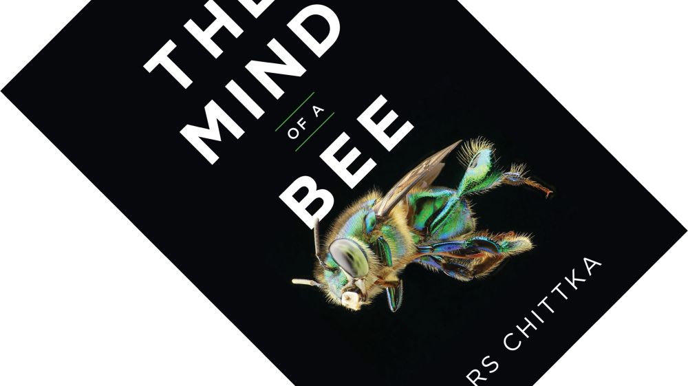 The Mind of a Bee - 3 Quarks Daily