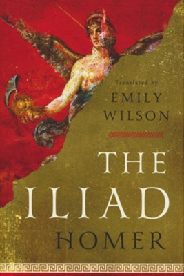 The Iliad by Homer, translated by Emily Wilson review – a bravura feat ...